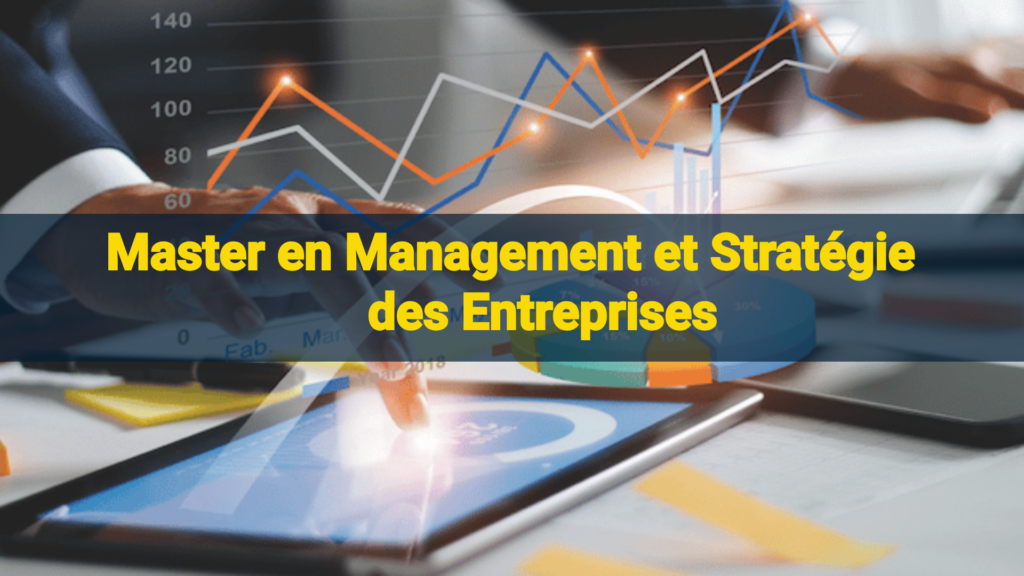 Master en Management et Stratégie des Entreprises – IFPS